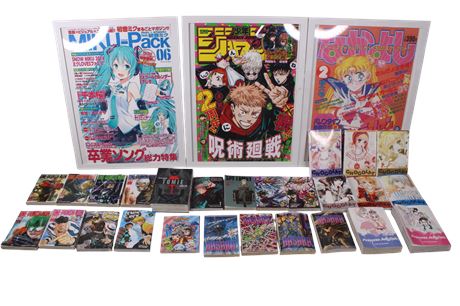 ShopTheSalvationArmy - Huge Anime Collector's Lot [J2645]