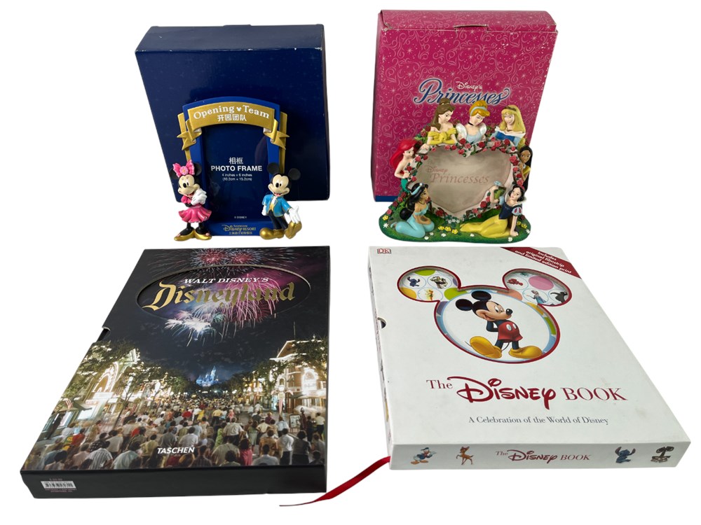 ShopTheSalvationArmy - Disney Picture Frames & Books Bundle – Princess ...