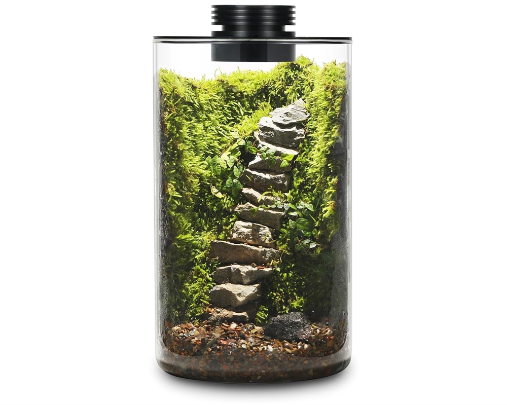 ShopTheSalvationArmy - AREPK Desktop Glass Plant Terrarium/Aquarium w ...